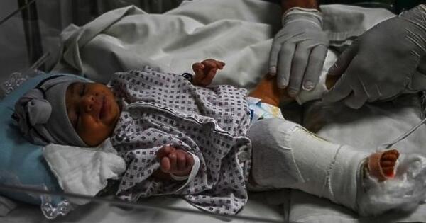 A túlélő - Életforma.hu