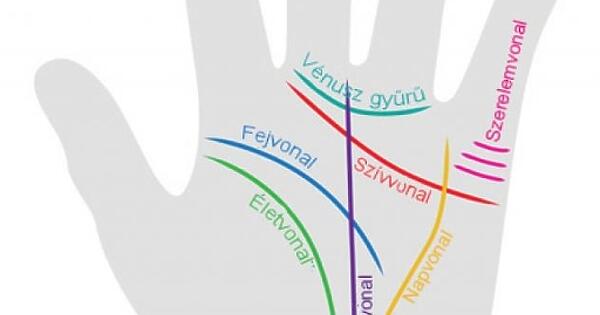 Jósolj magadnak a tenyeredből! Megmondjuk, mit jelentenek a vonalak ...